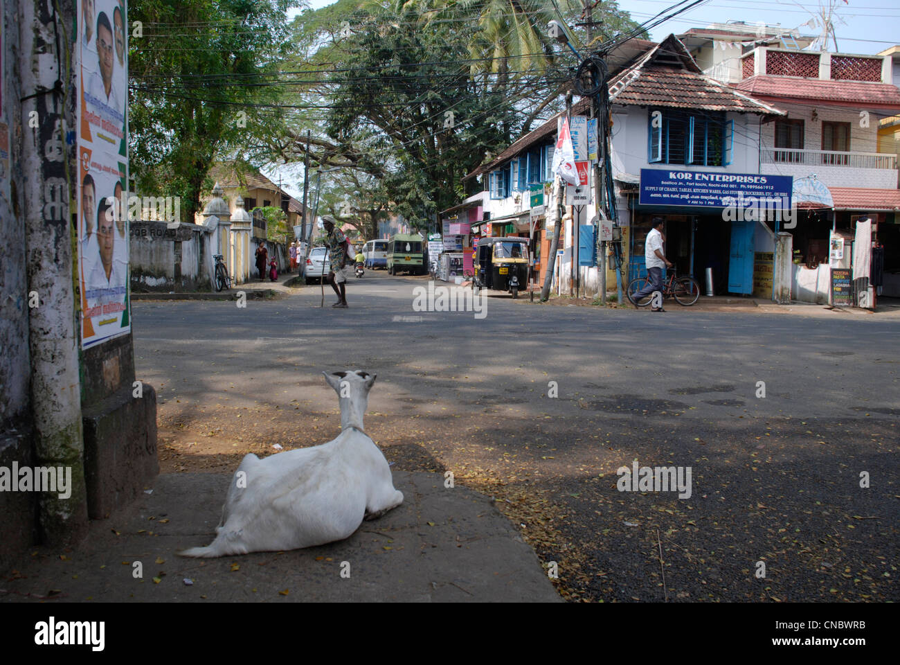 Street view cochin kochi kerala hi-res stock photography and images - Alamy