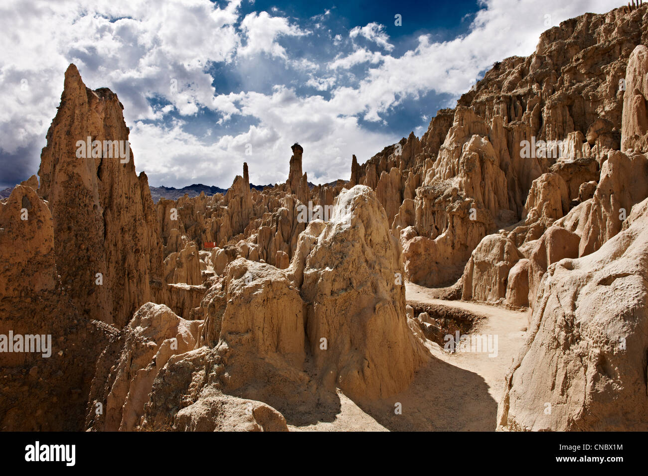 Moon valley, erosion landscape near La Paz, Bolivia, South America ...