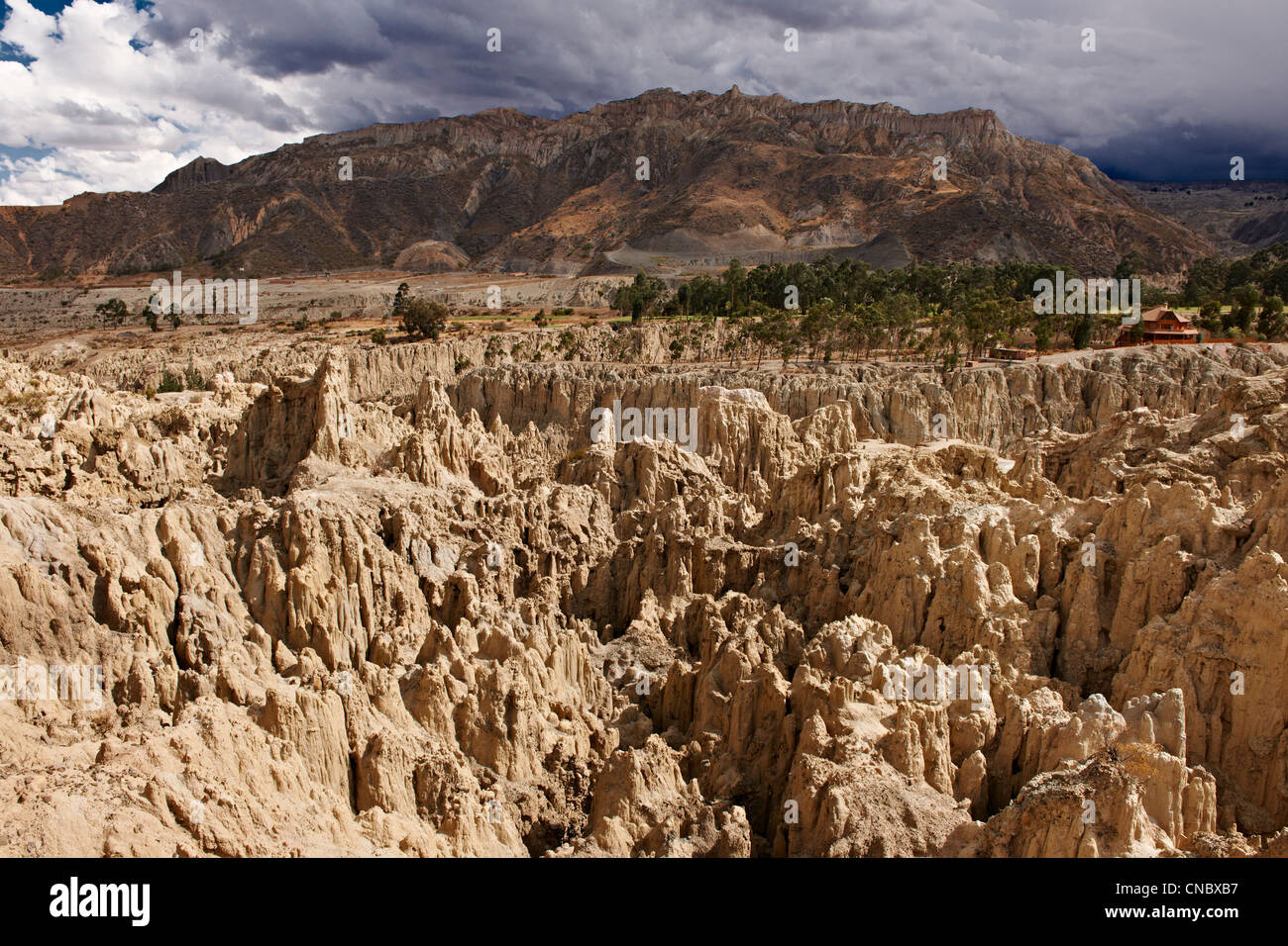 Moon valley, erosion landscape near La Paz, Bolivia, South America ...