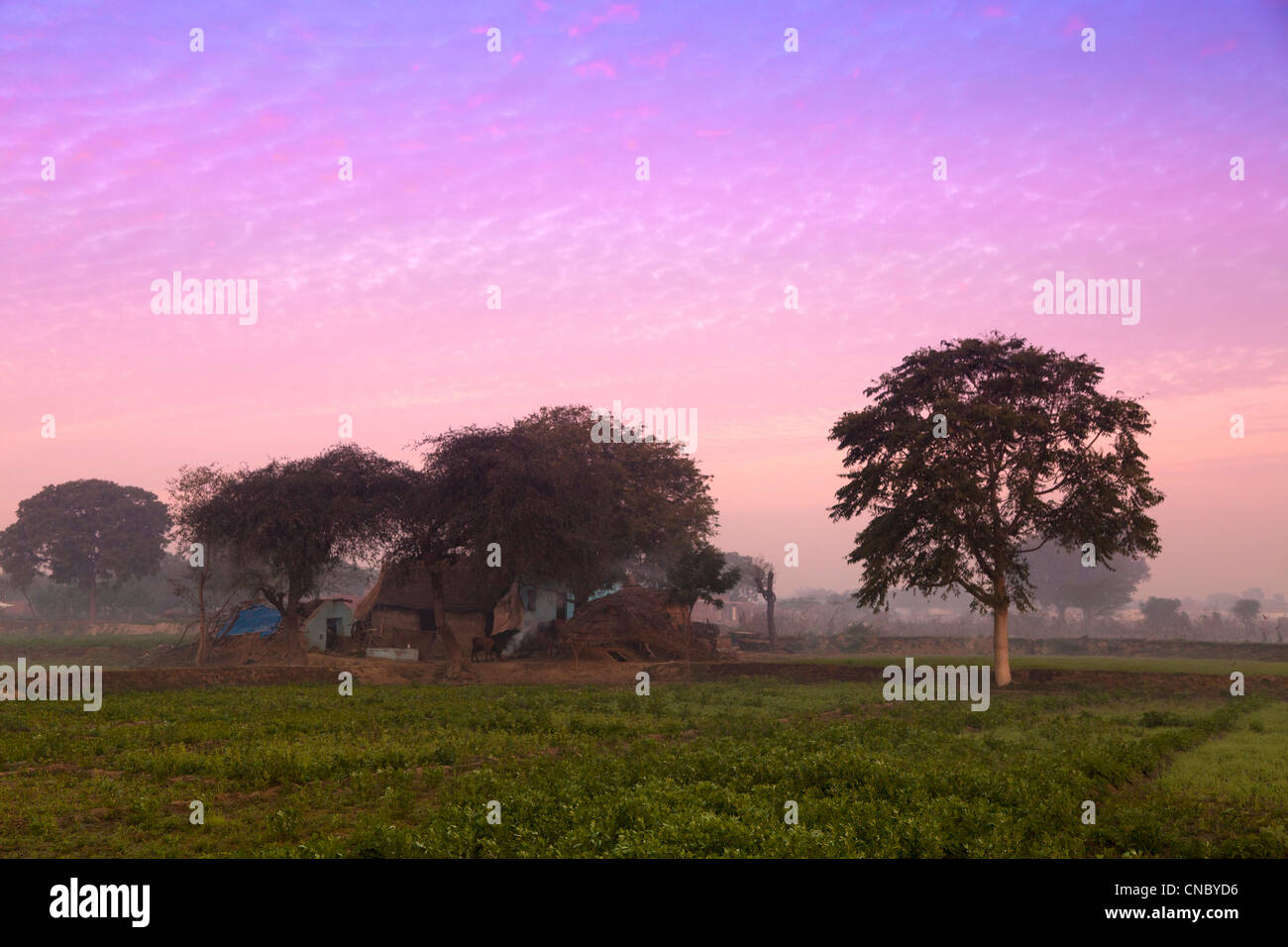 Typical dwelling hi-res stock photography and images - Alamy