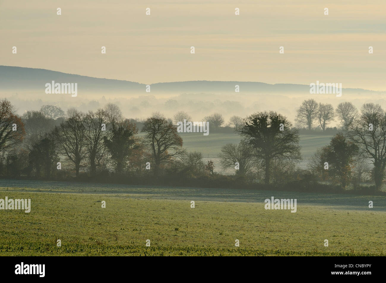 A Landscape at winter, north of the Mayenne department (Loire country ...