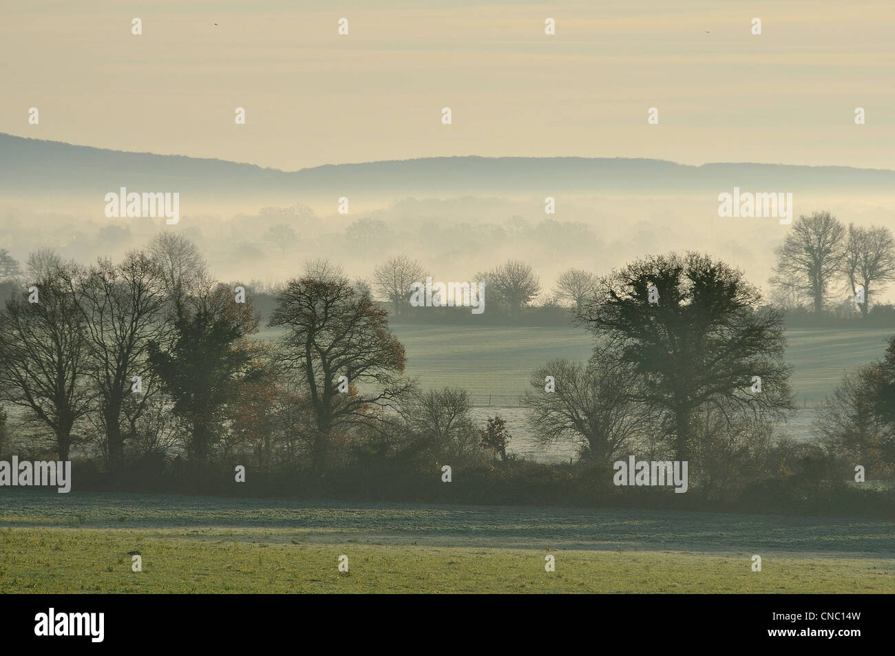 Hedges bocage hi-res stock photography and images - Alamy