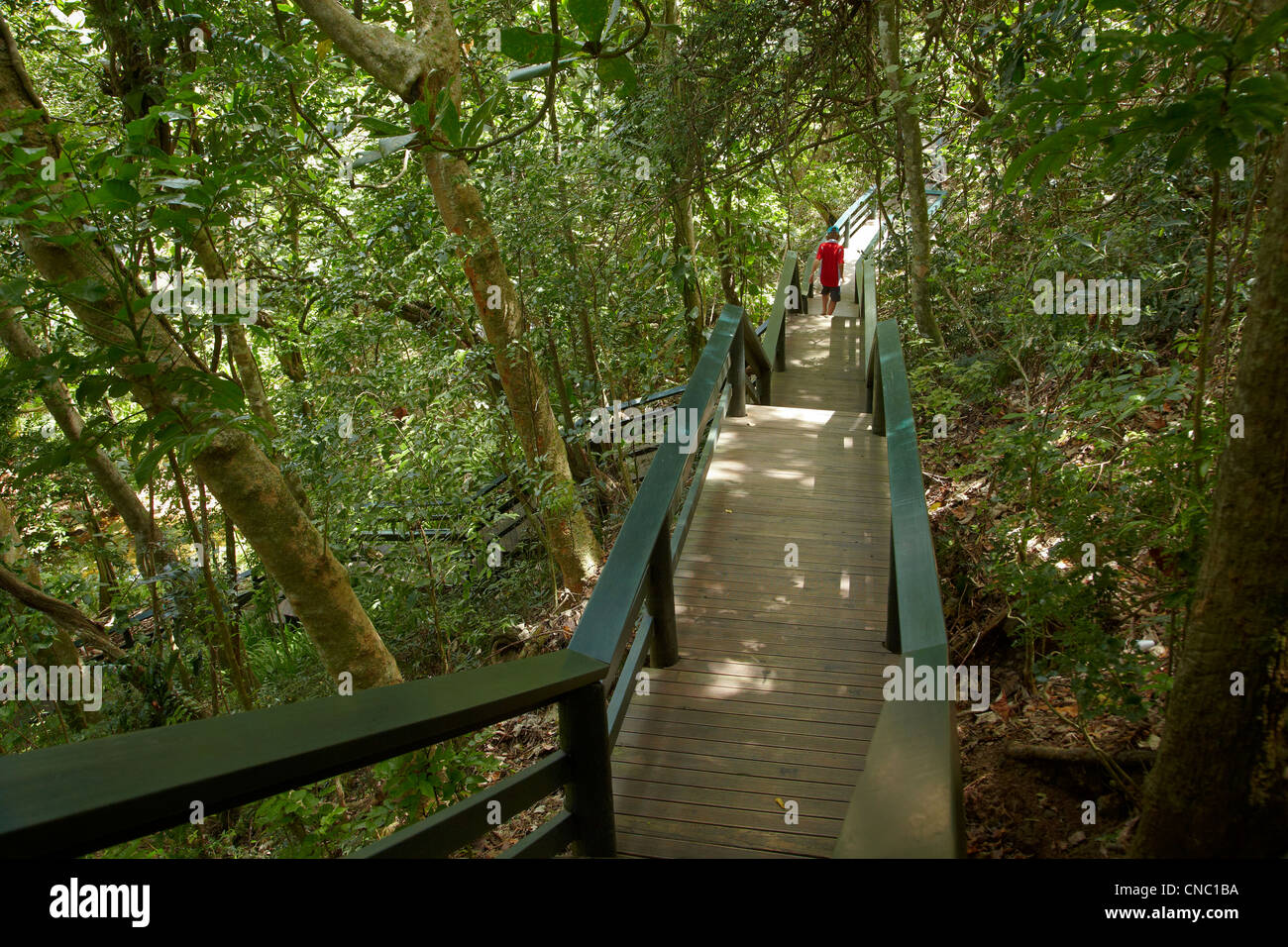 Fiji Rainforest Stock Photos & Fiji Rainforest Stock Images - Alamy