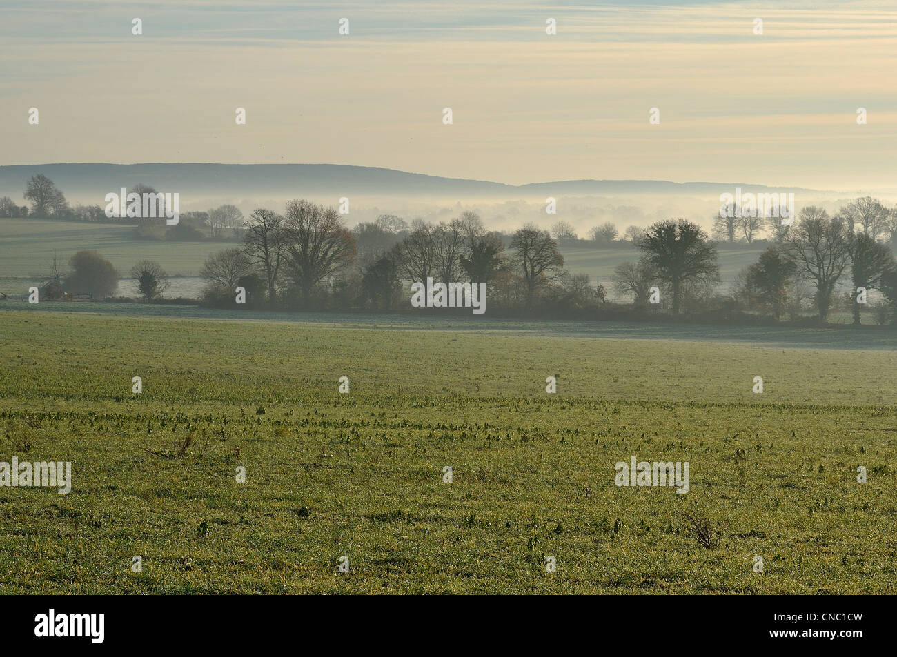 Bocage landscape hi-res stock photography and images - Alamy