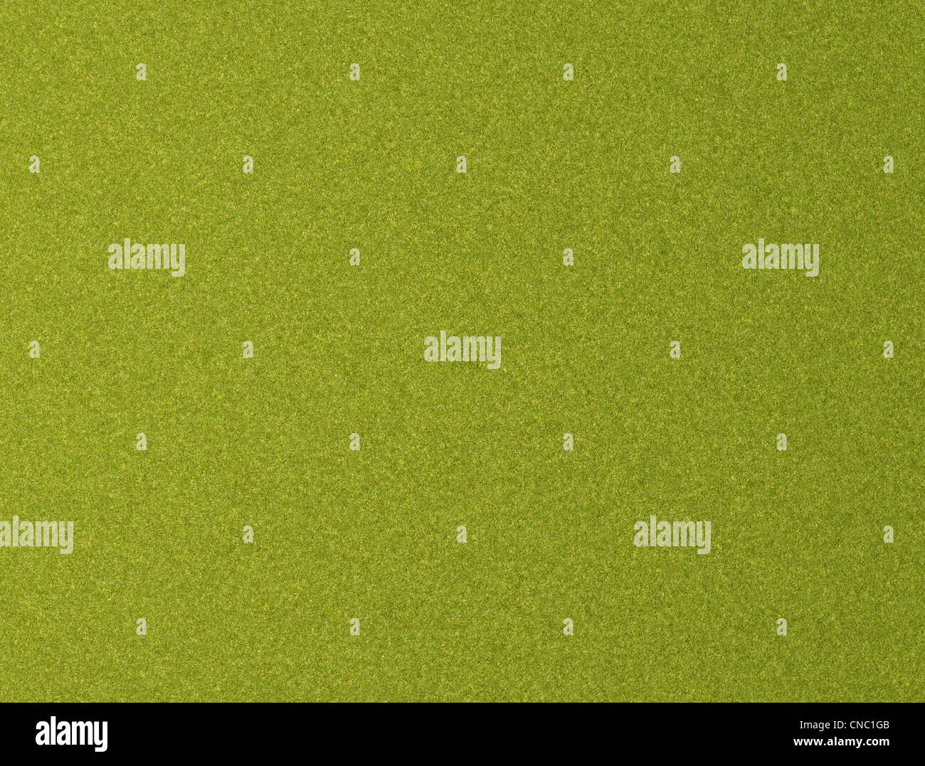 Large resolution grass texture Stock Photo - Alamy