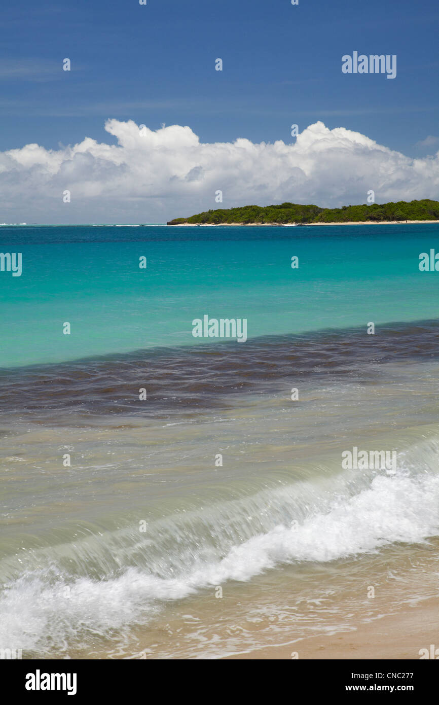 Coral coast, fiji islands hi-res stock photography and images - Alamy