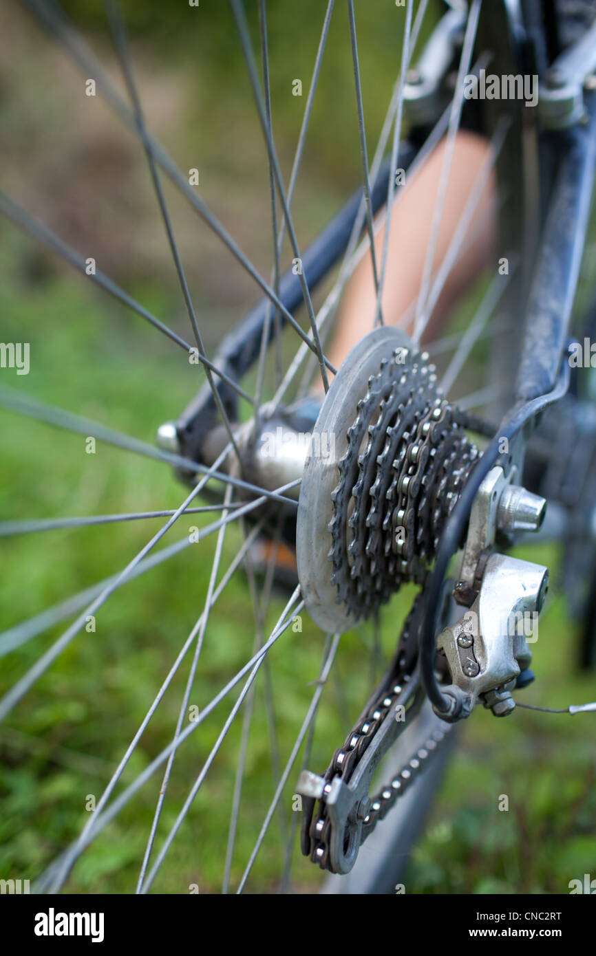 biking - rear wheel of a young woman's mountain bike on a green ...