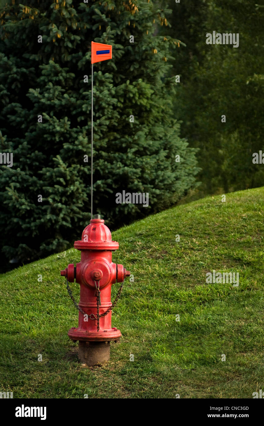 For Fire Hydrant Snow Markers