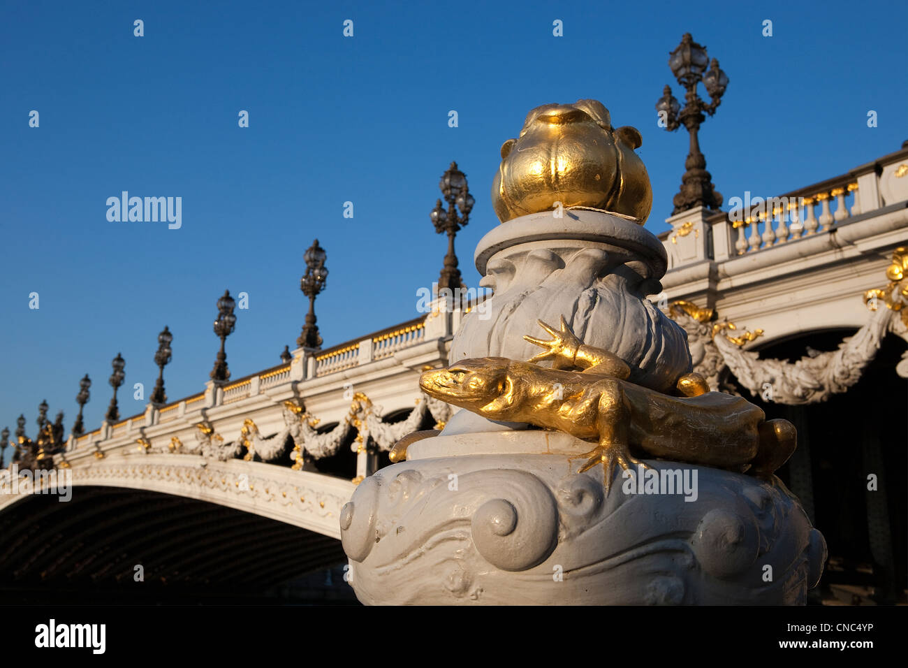 France, Paris, the Seine river banks, listed as World Heritage by ...