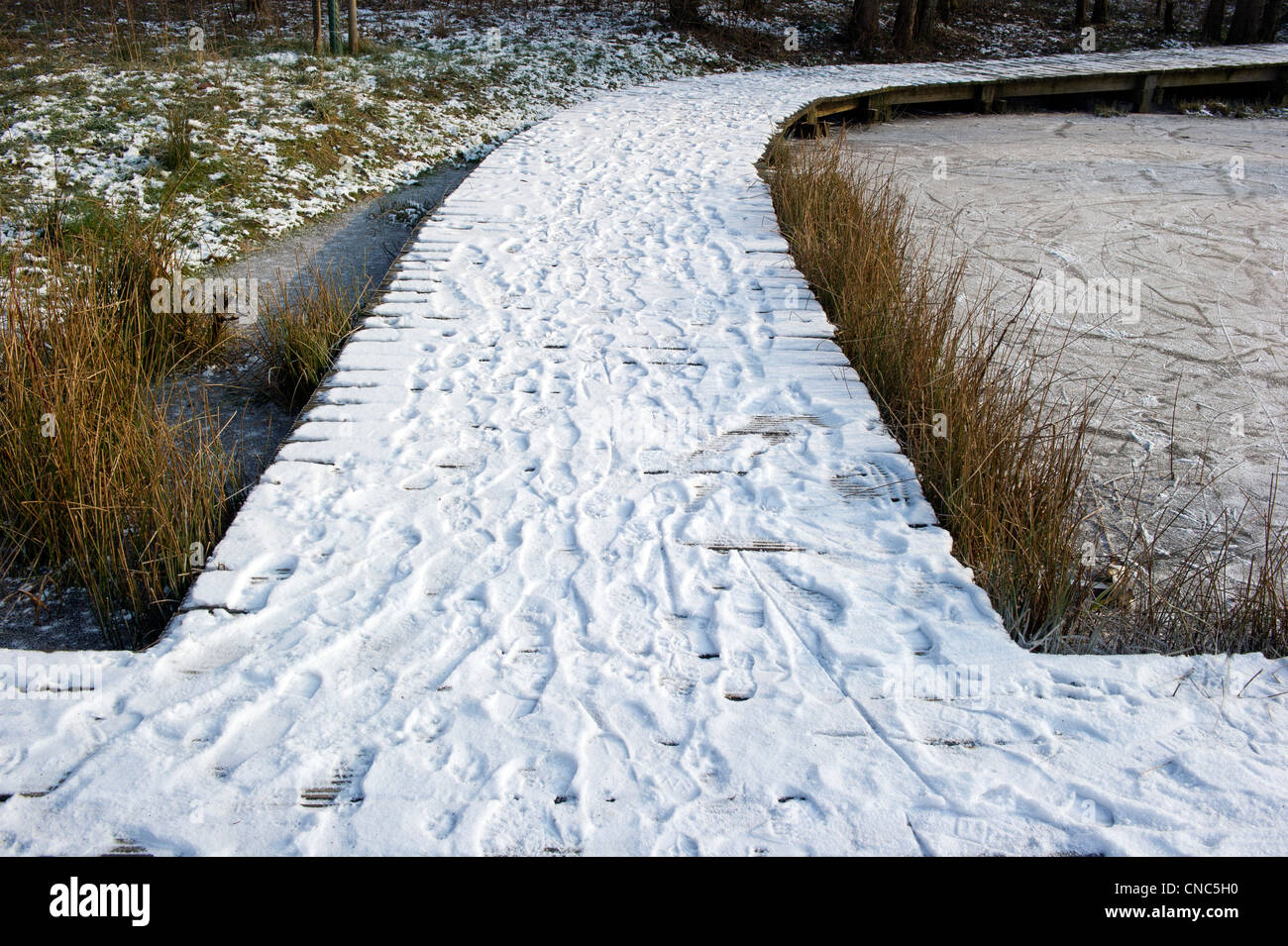 snowy path park Stock Photo - Alamy