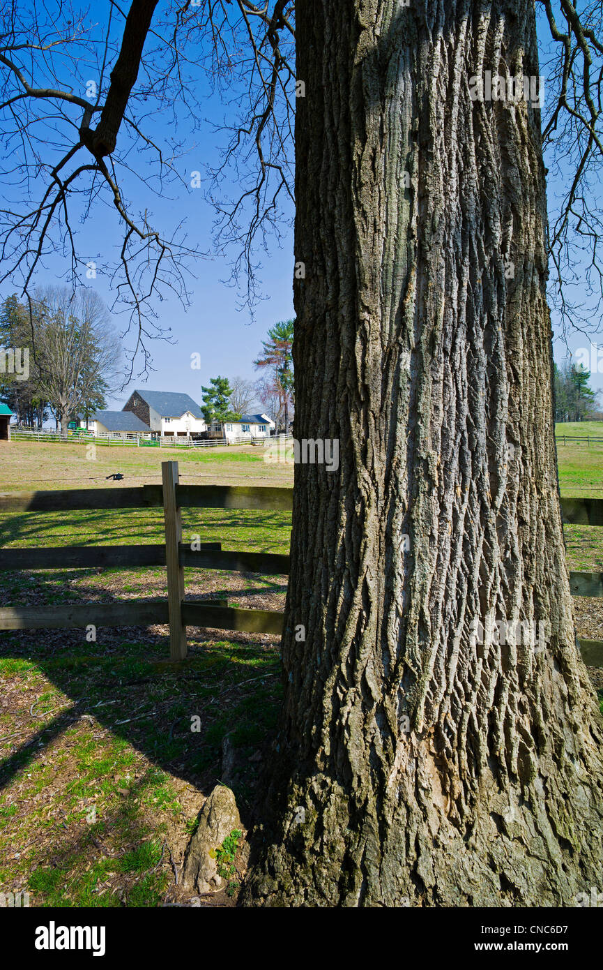 Barn and horse stables, Hidden Valley Farm at Ridley Creek State Park ...
