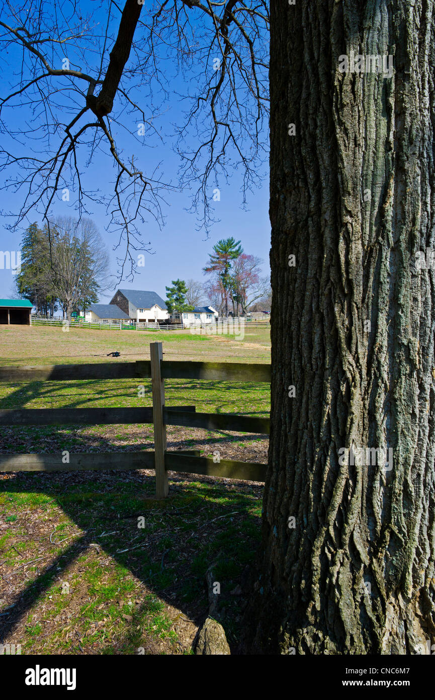 Barn and horse stables, Hidden Valley Farm at Ridley Creek State Park ...