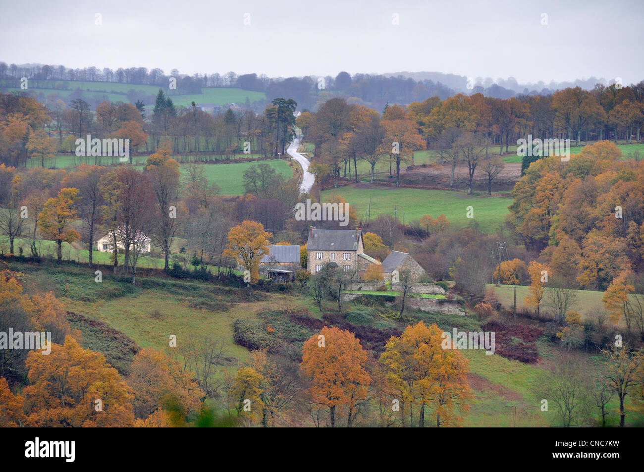 Countryside in winter (Orne, Domfrontais, Normandy, France, Europe ...