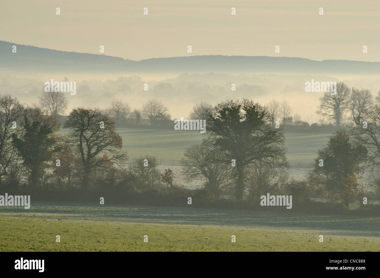 The countryside in winter (north Mayenne, Loire country, France, Europe ...