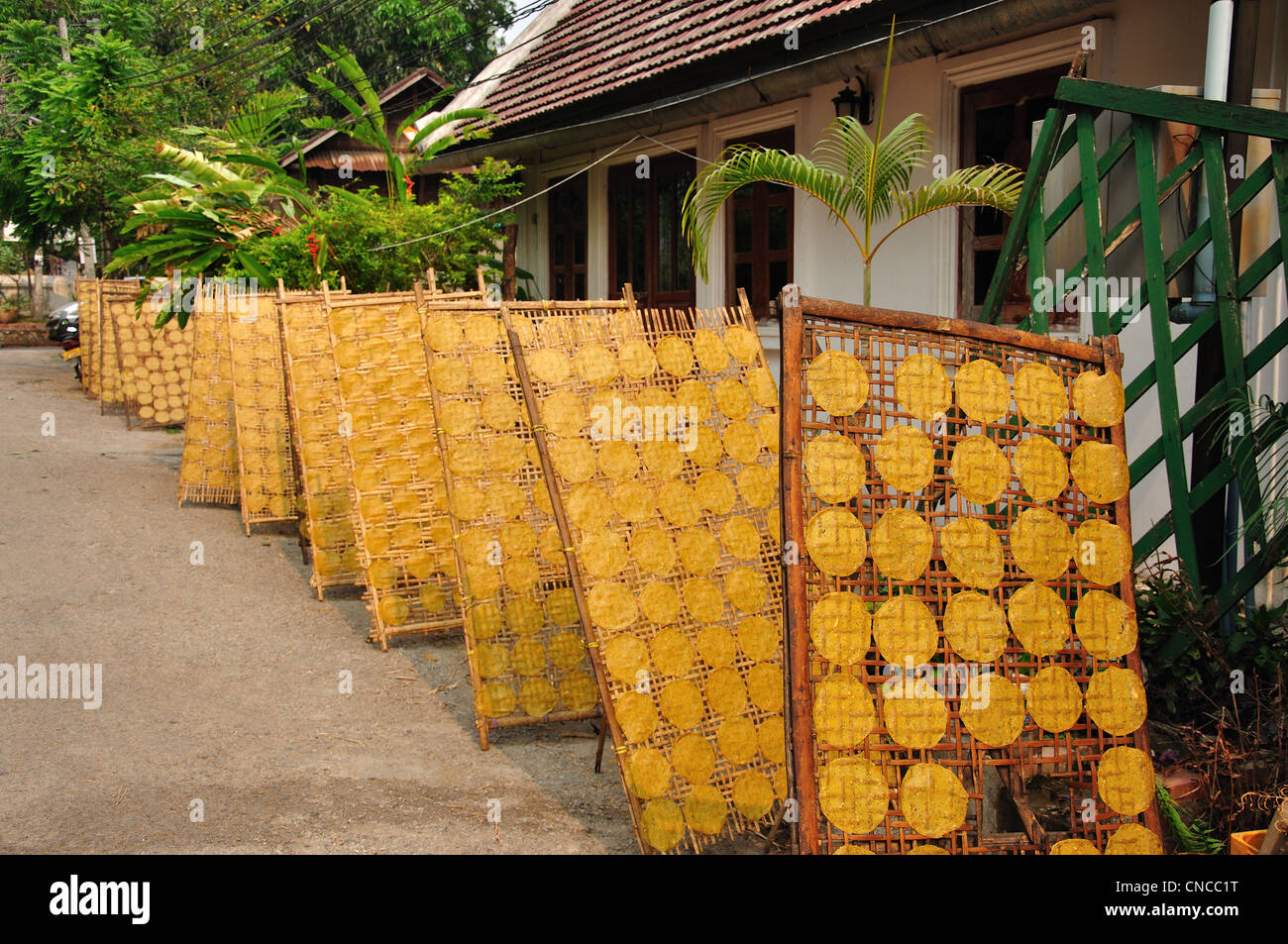 Crispy rice cakes hi-res stock photography and images - Alamy