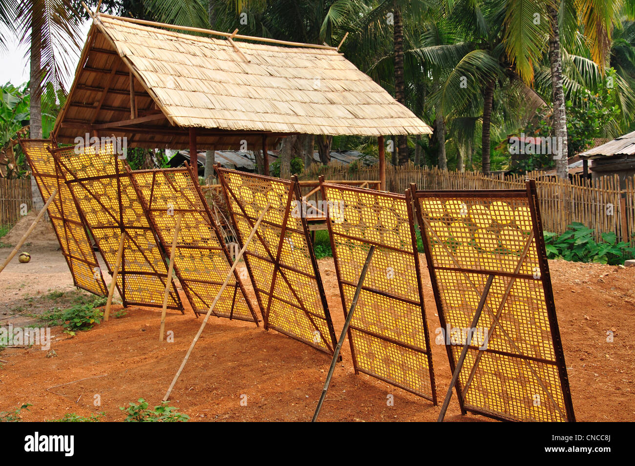 Crispy rice cakes hi-res stock photography and images - Alamy