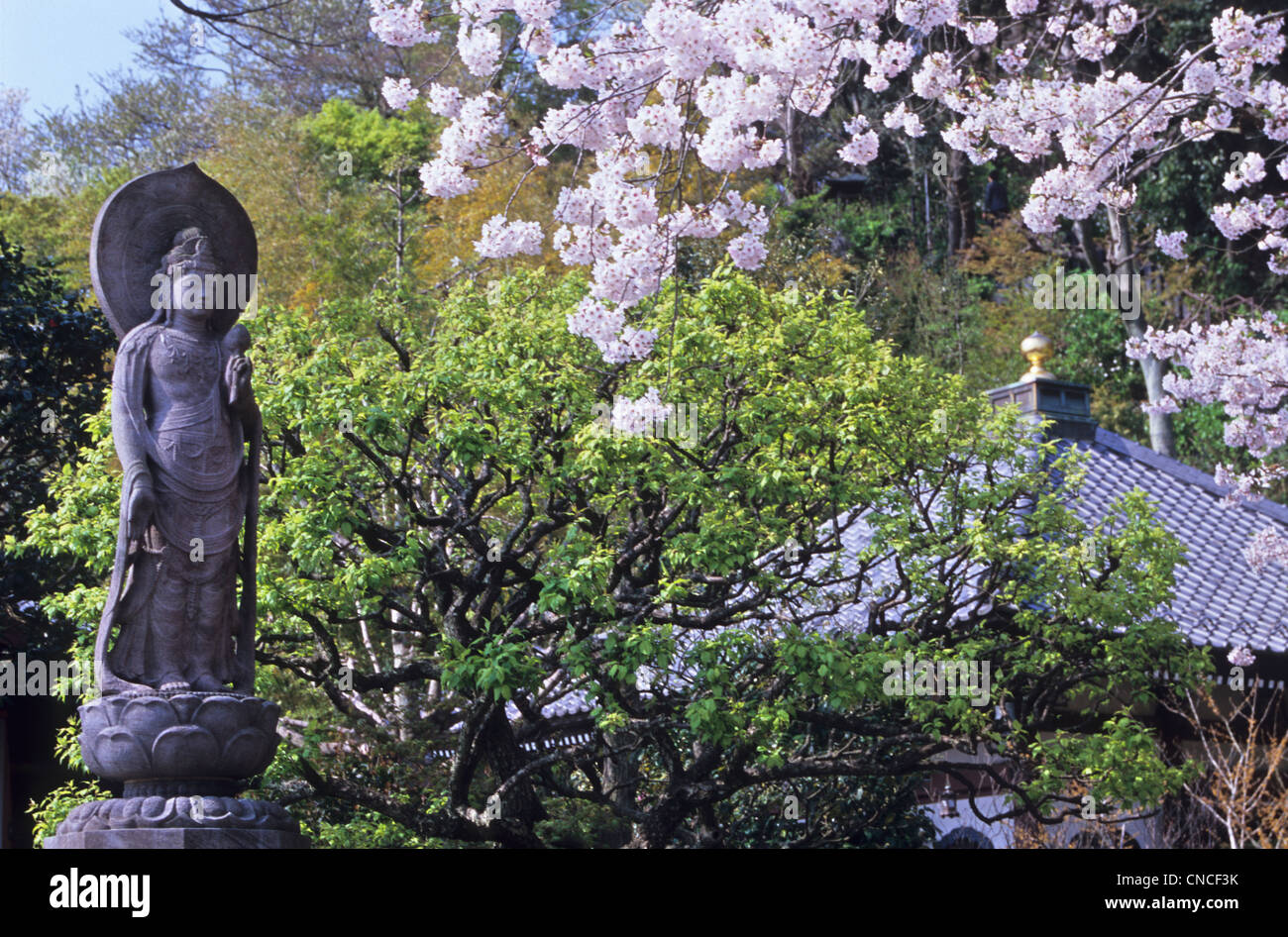 Statue at Hase Dera temple, Kamakura, Japan Stock Photo - Alamy