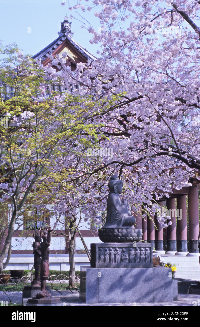 Statue at Hase Dera temple, Kamakura, Japan Stock Photo - Alamy