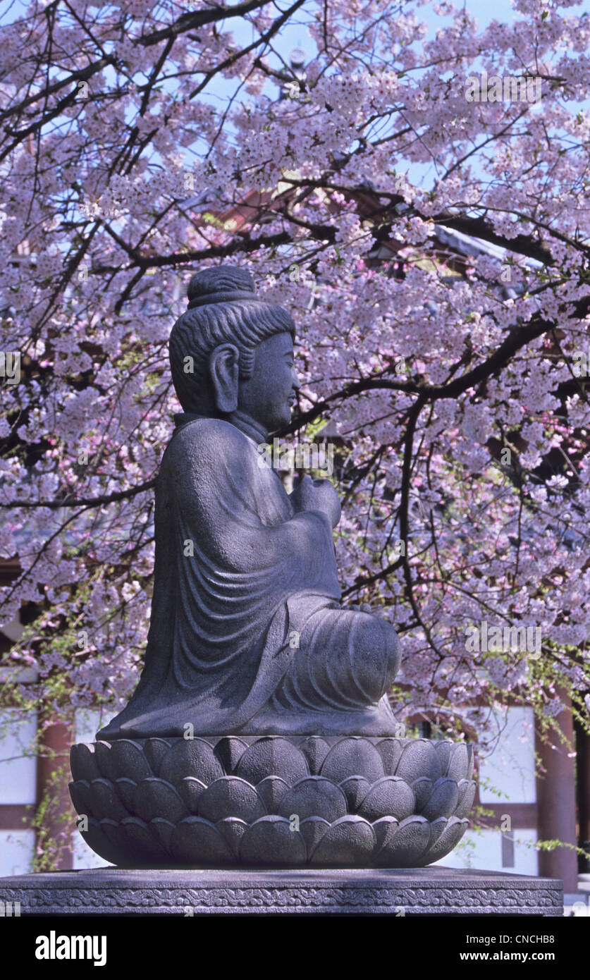 Statue at Hase Dera temple, Kamakura, Japan Stock Photo - Alamy