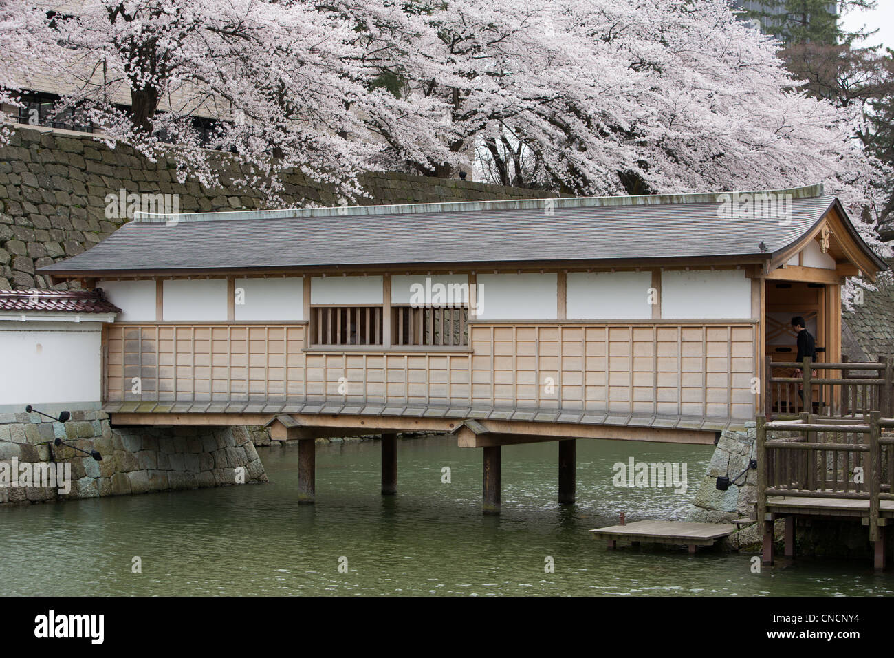 Fukui Castle, moat, fortified stone wall and cherry blossom, in Fukui ...