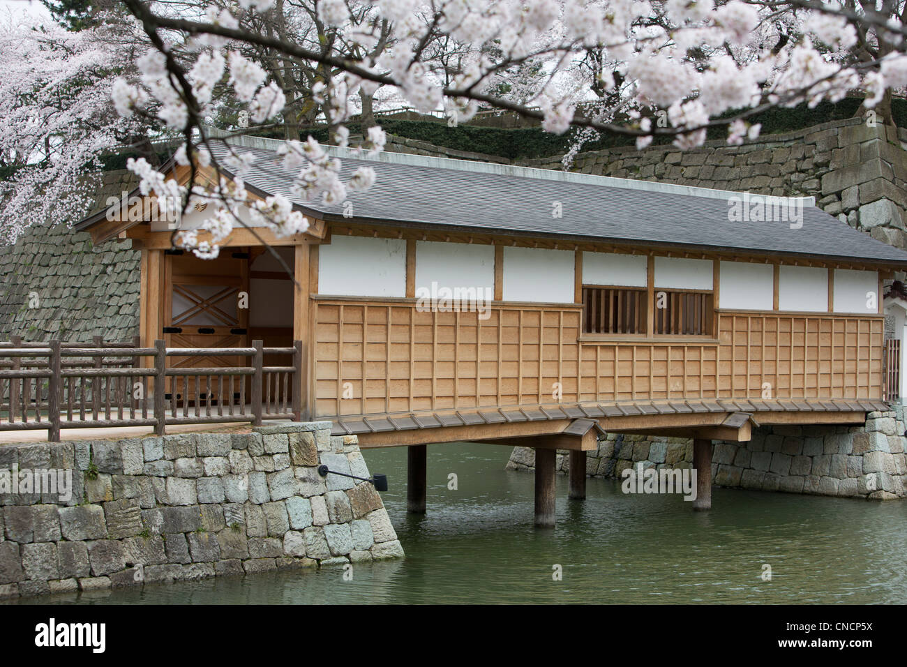 Fukui Castle, moat, fortified stone wall and cherry blossom, in Fukui ...
