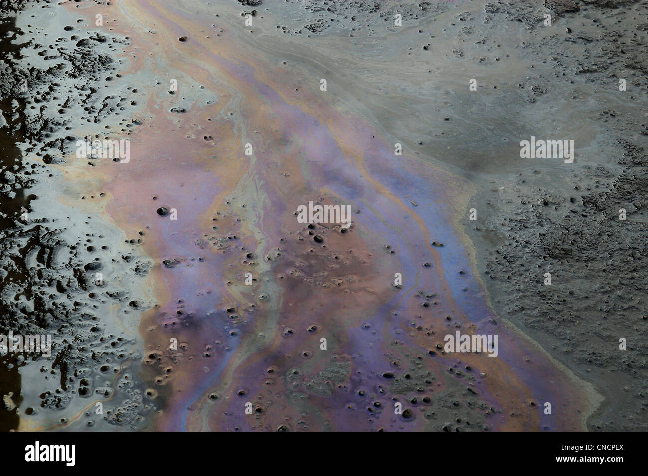 Sheen of colorful oil floating on water in the dirt Stock Photo - Alamy