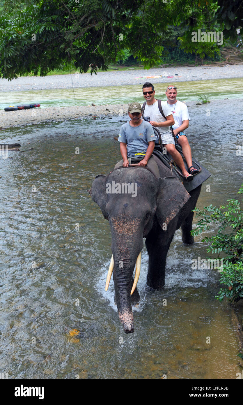 Elephant trekking at Tangkahan which borders Gunung Leuser National ...