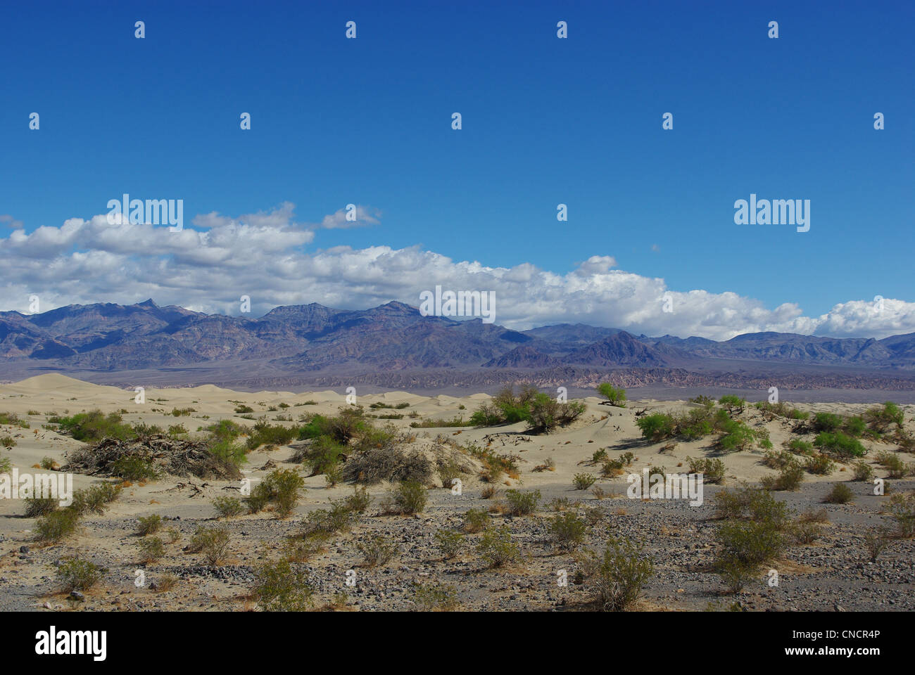Dune area and mountains hi-res stock photography and images - Alamy