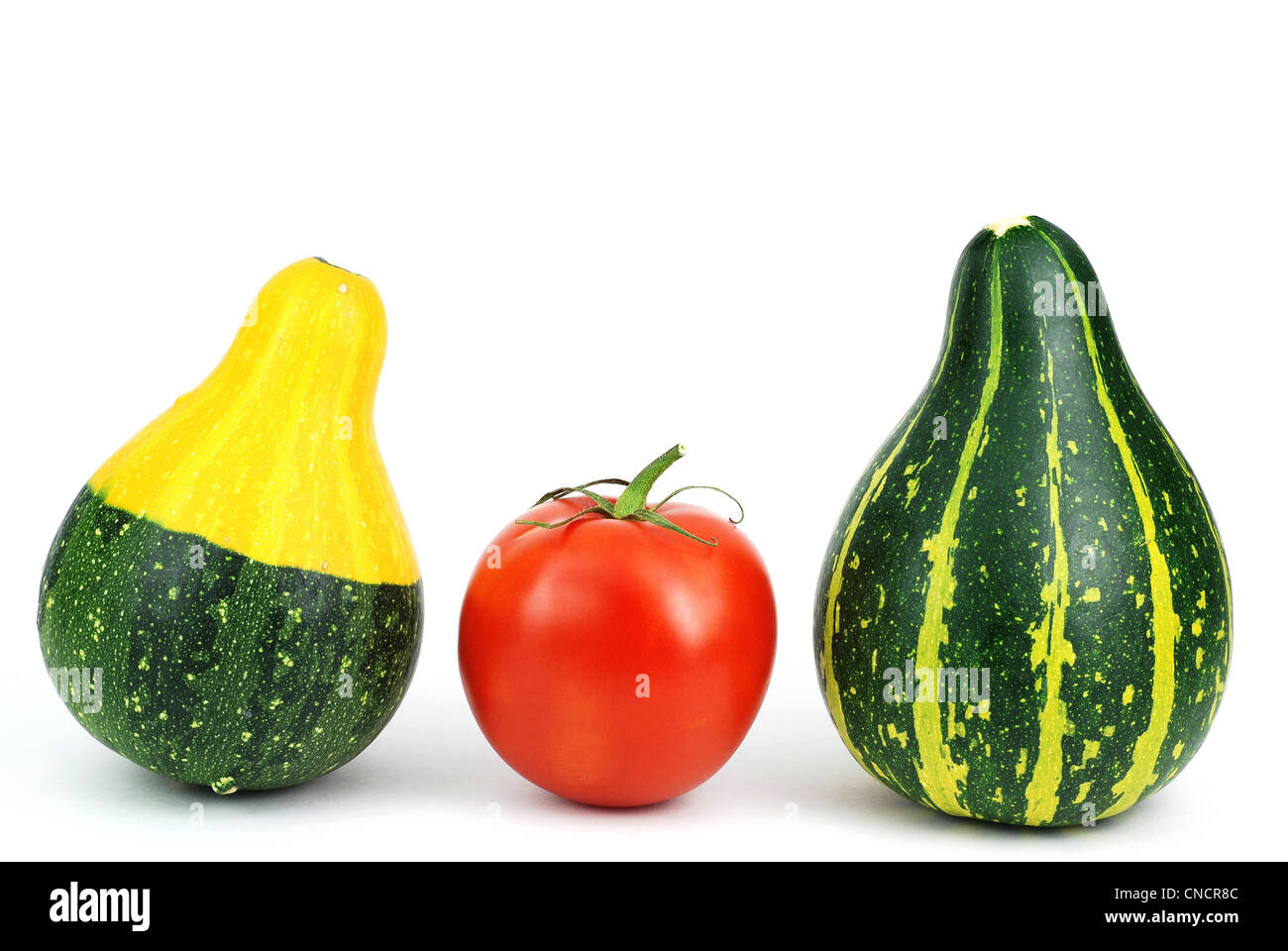 Isolated fresh tomato and ornamental gourd Stock Photo - Alamy