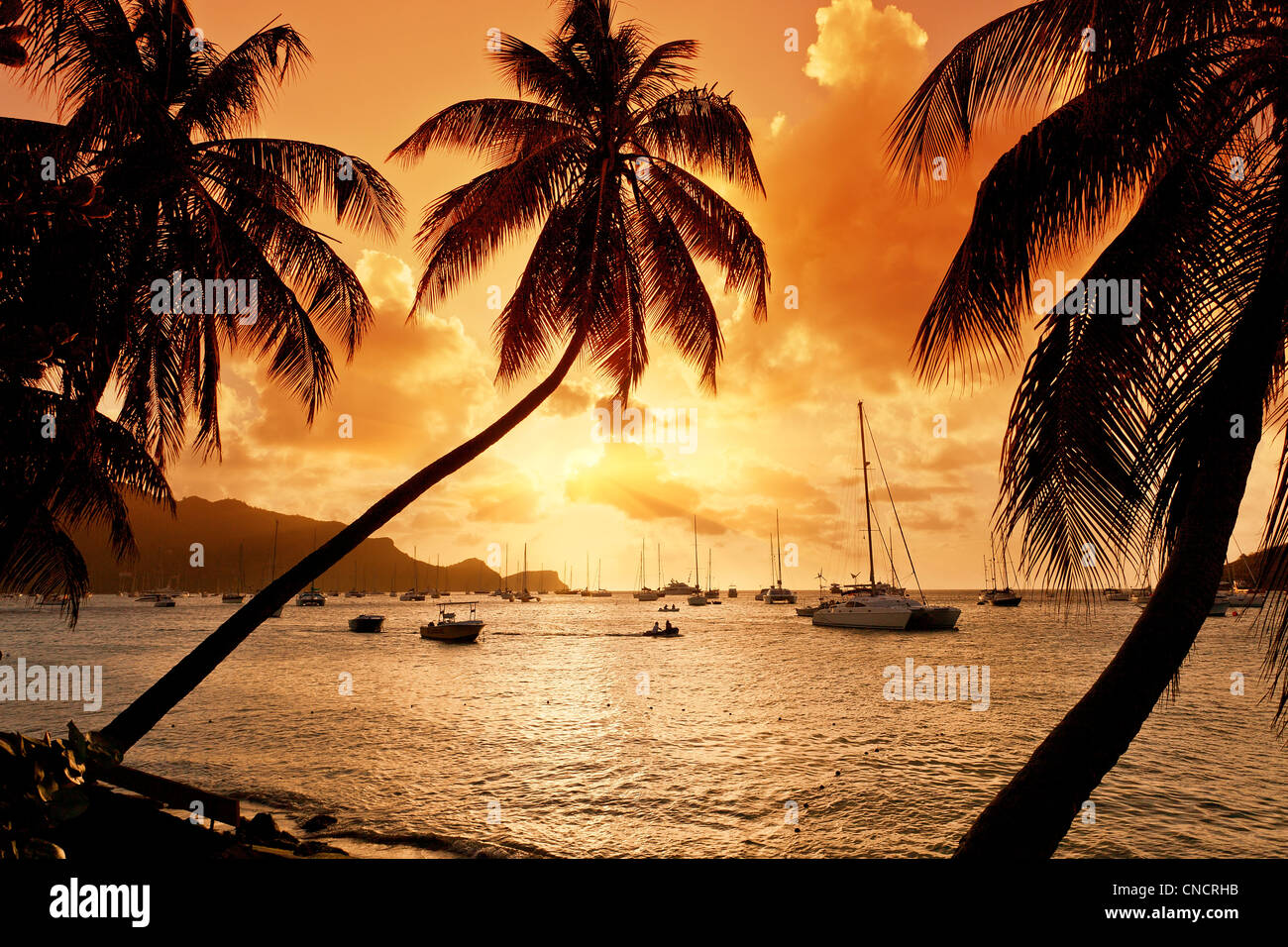 Port Elizabeth, Bequia Island at Sunset Stock Photo - Alamy