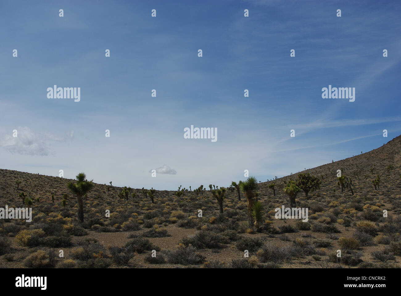 High california desert hi-res stock photography and images - Alamy