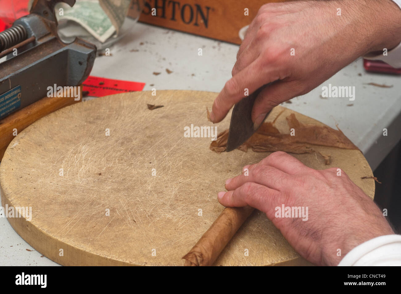 Man rolling hand made cigars Stock Photo - Alamy