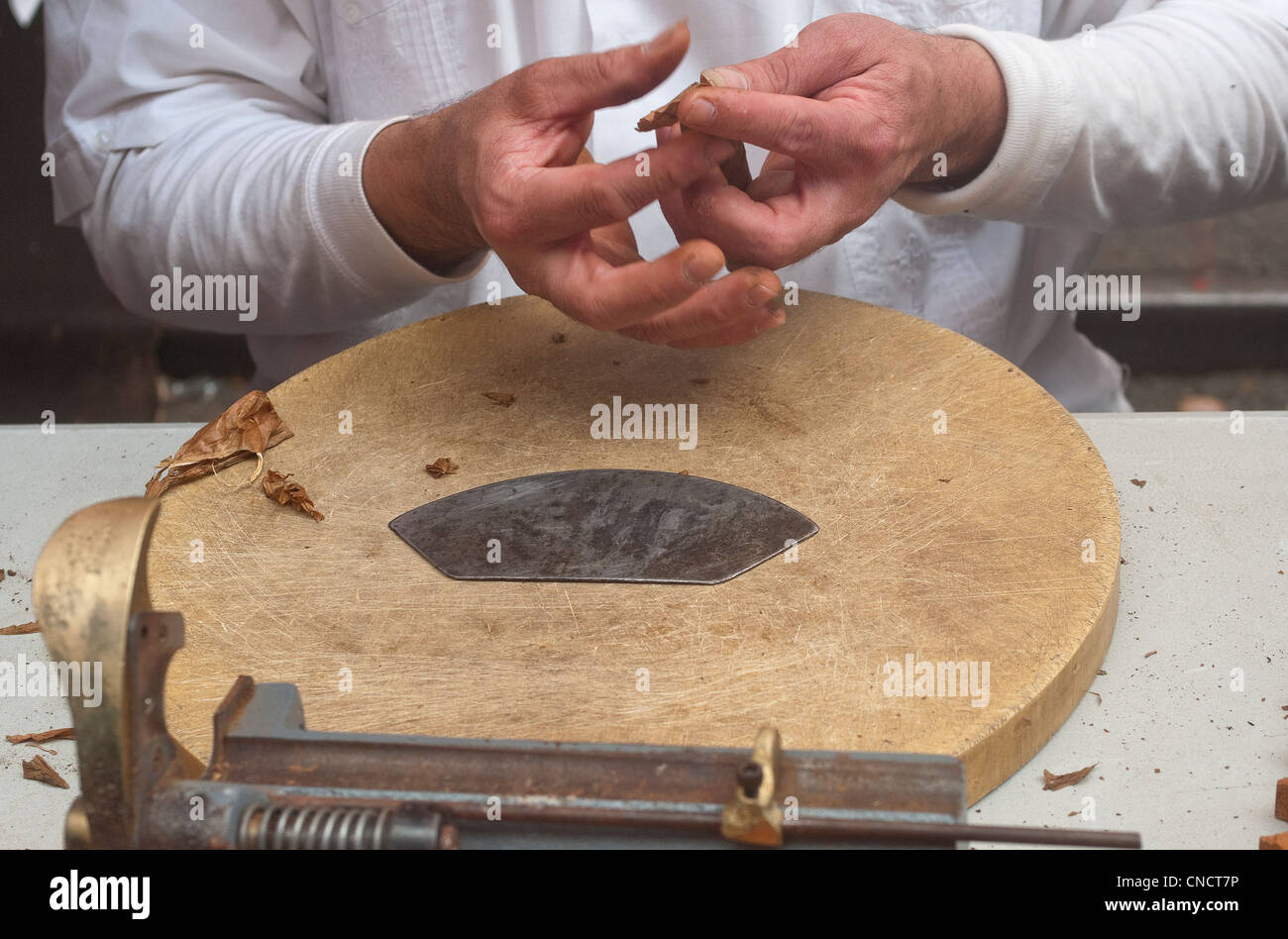 New York, NY - 18 September 2010 man rolling hand made cigars Stock ...
