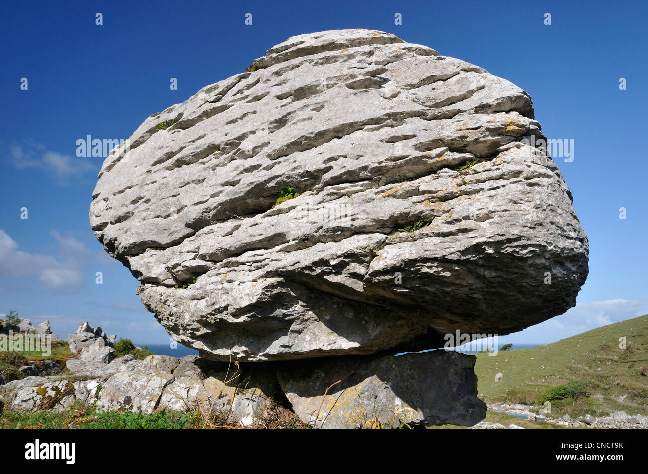 Glacial erratic caher valley burren hi-res stock photography and images ...