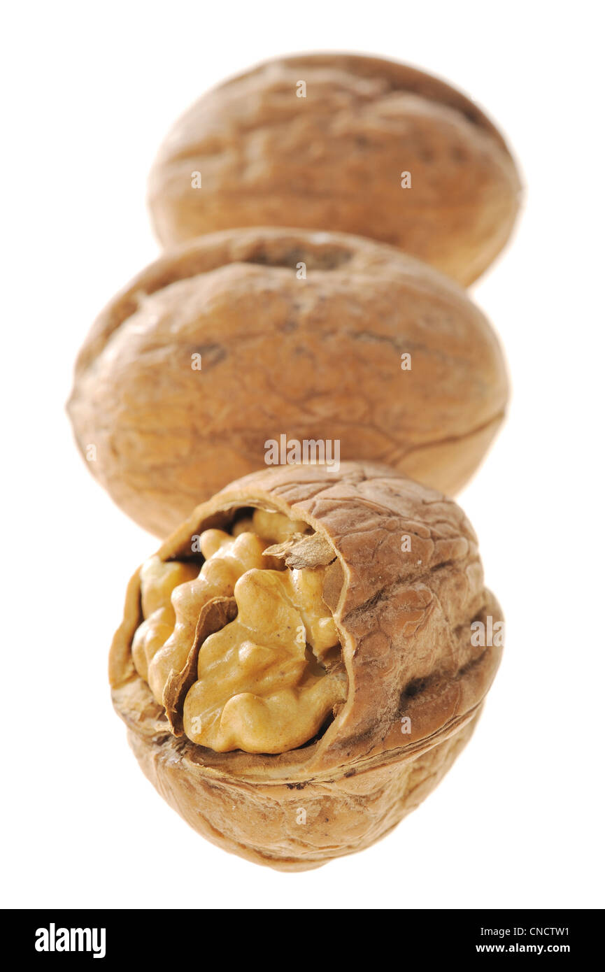 Walnut core closeup isolated Cut Out Stock Images & Pictures - Alamy