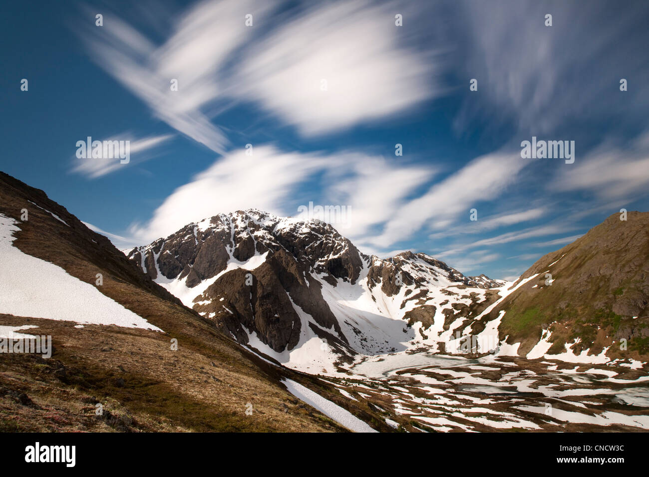 Special effect bird hi-res stock photography and images - Alamy