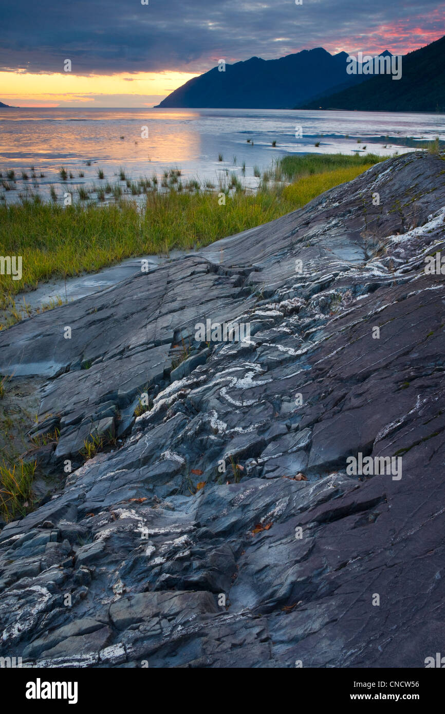 Turnagain arm bird hi-res stock photography and images - Alamy