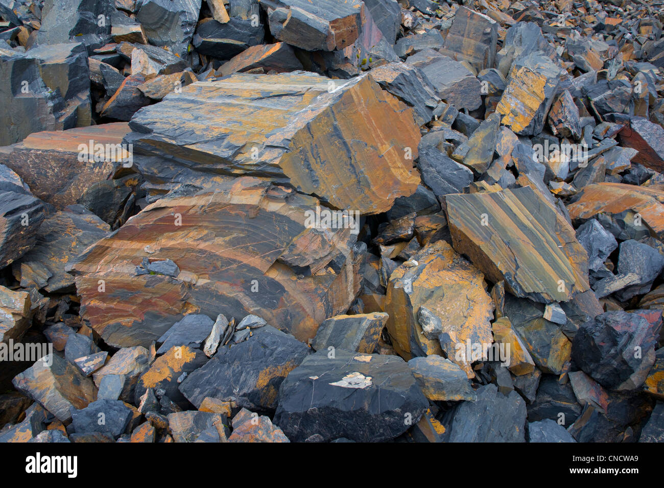 Jumbled mass hi-res stock photography and images - Alamy