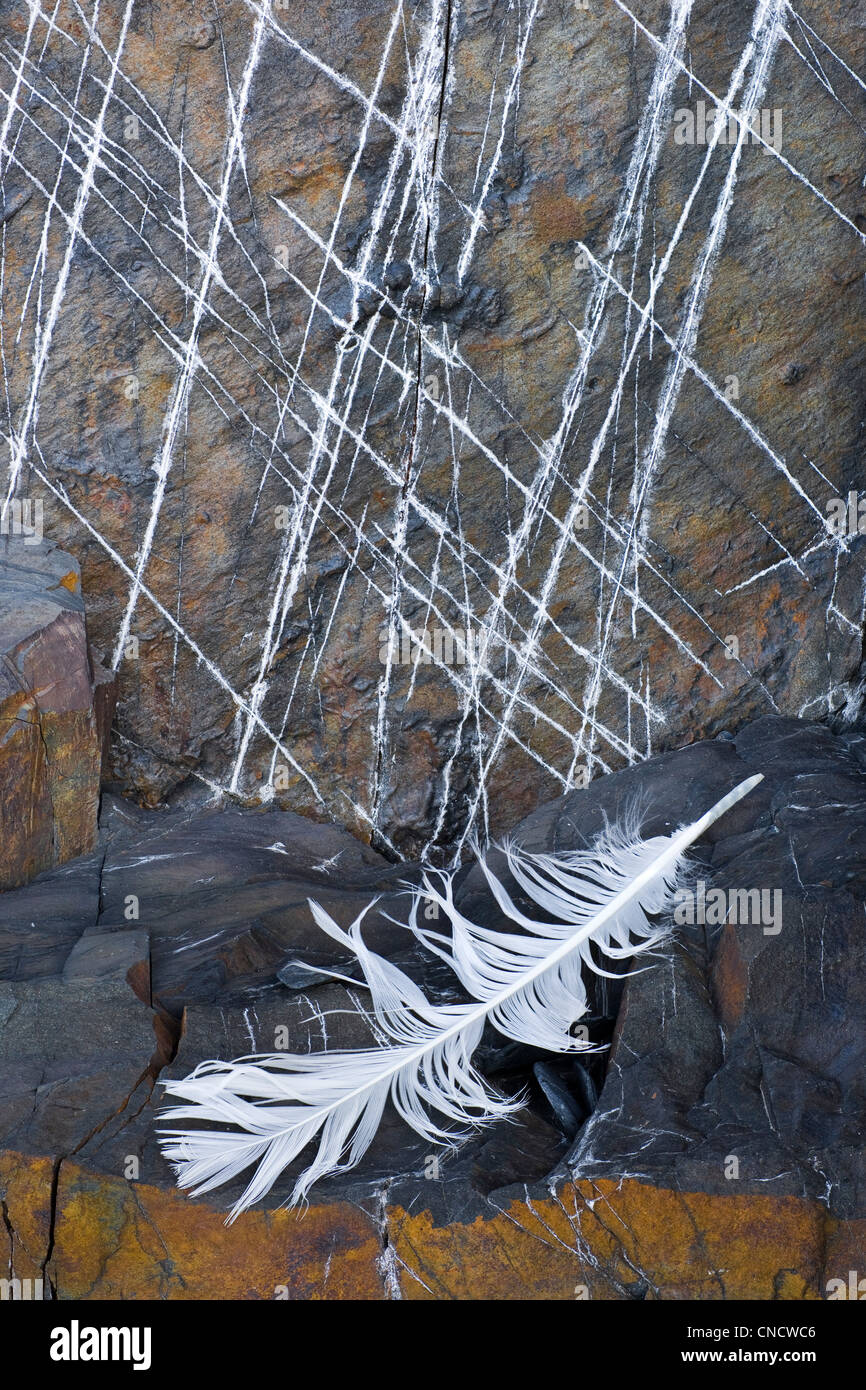 Glacial rock pattern hi-res stock photography and images - Alamy