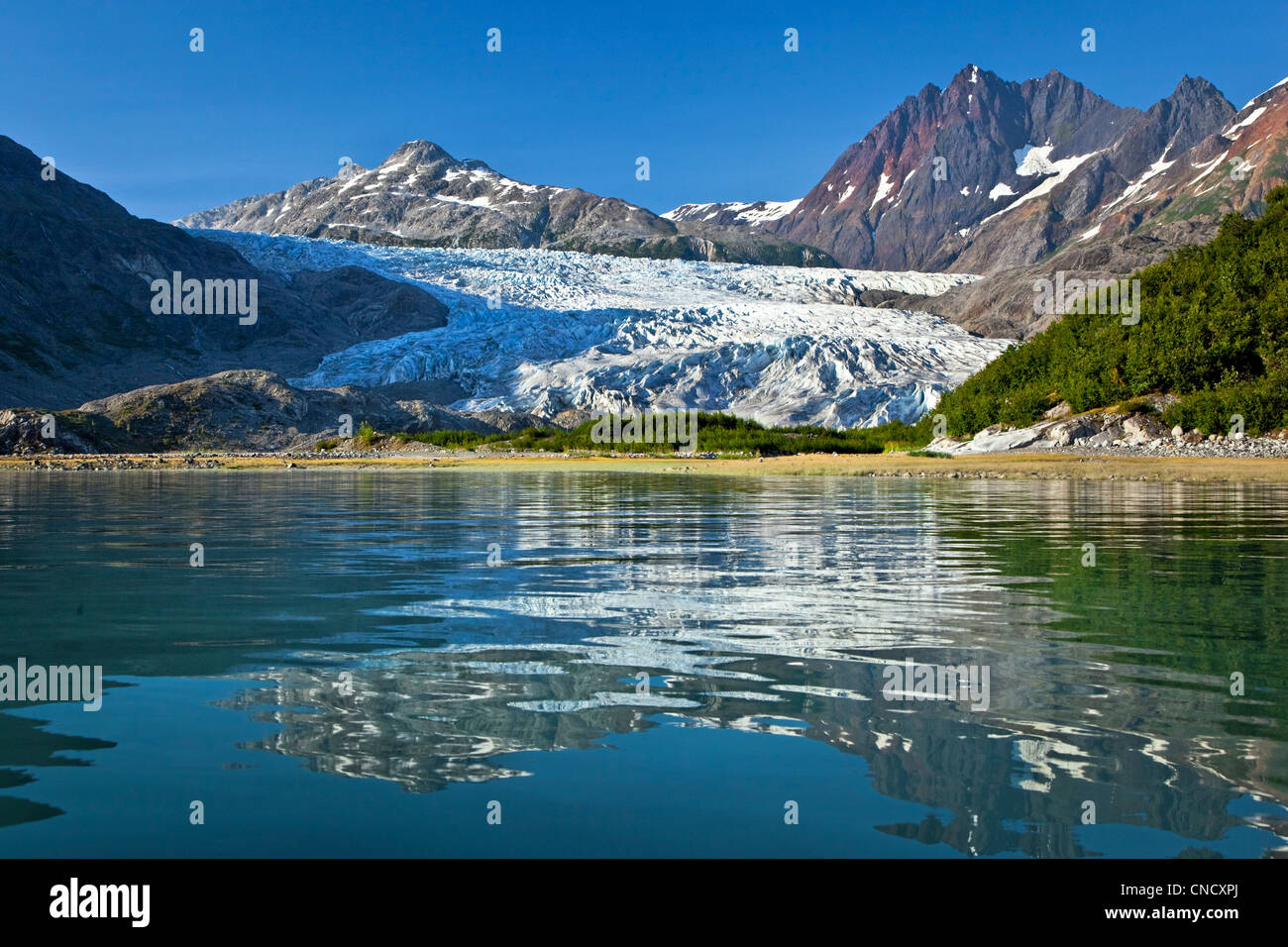 Scenic view of Riggs Glacier reflecting on the water of Muir Inlet ...