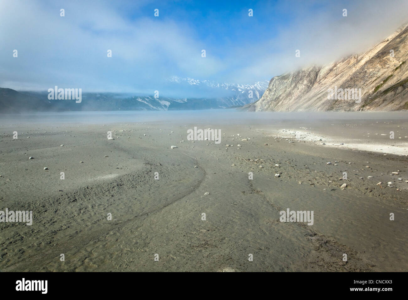 Rocks strewn on mud flat at Muir Inlet, Glacier Bay National Park ...