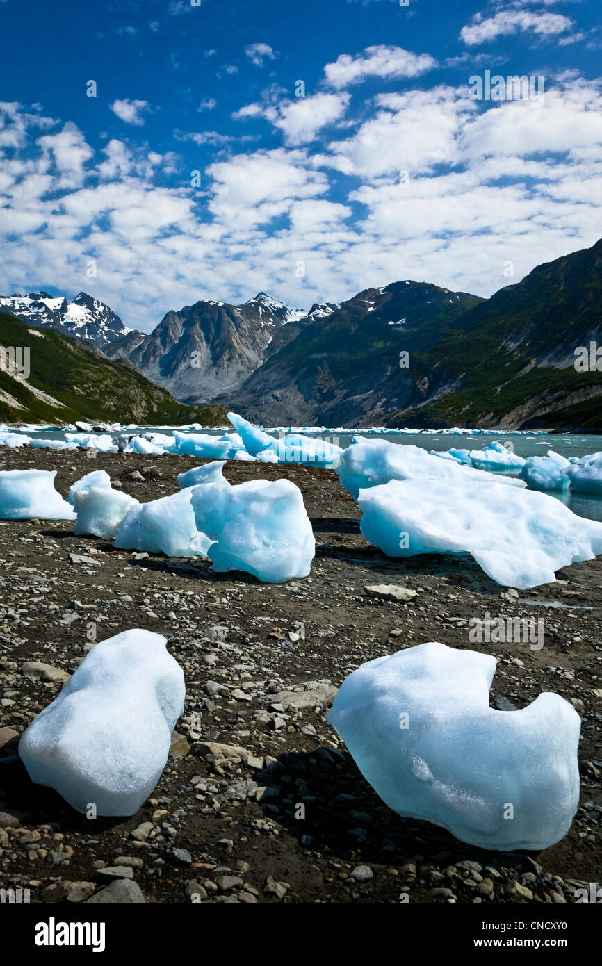 Scenic of icebergs from McBride Glacier in Muir Inlet, Glacier Bay ...
