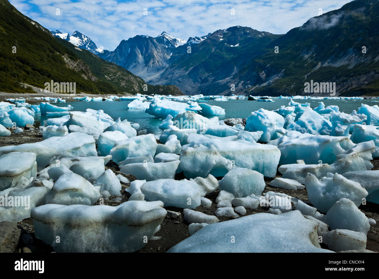 Scenic of icebergs from McBride Glacier in Muir Inlet, Glacier Bay ...