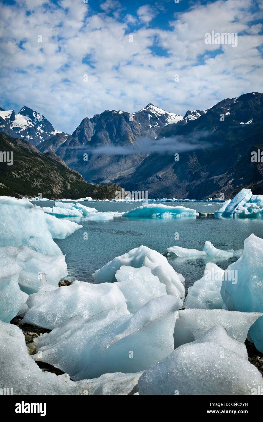 Scenic of icebergs from McBride Glacier in Muir Inlet, Glacier Bay ...