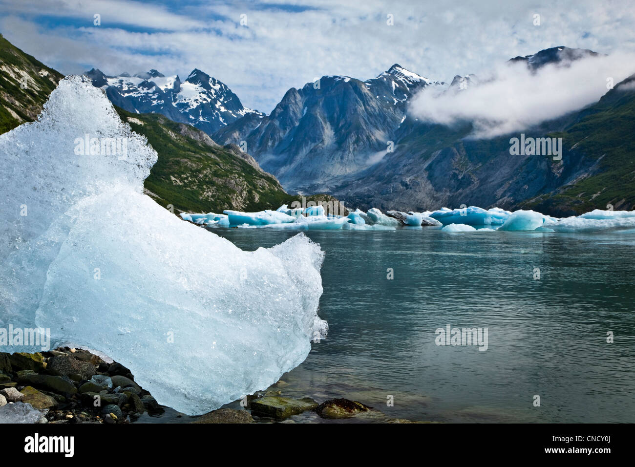 Muir glacier in alaska hi-res stock photography and images - Alamy