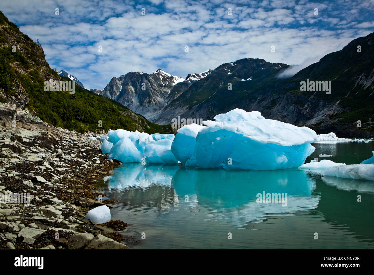 Scenic of icebergs from McBride Glacier in Muir Inlet, Glacier Bay ...