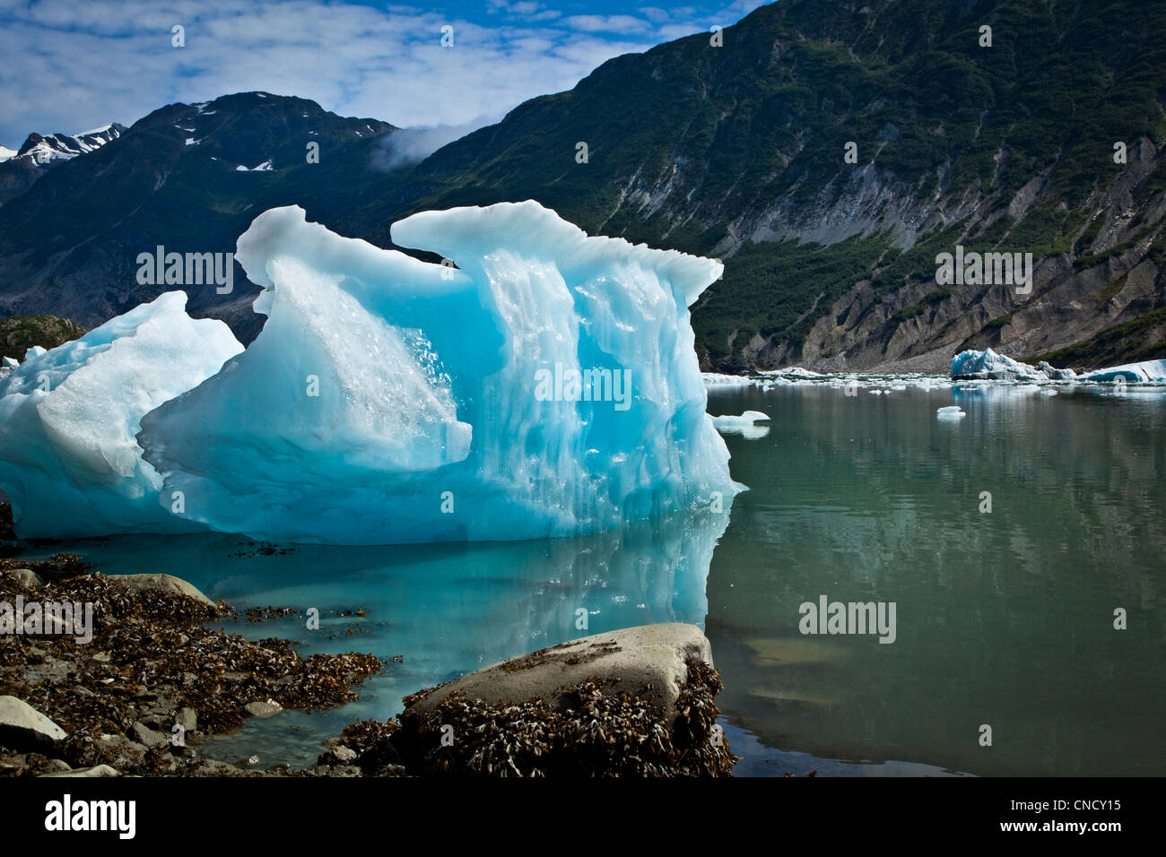 Scenic of icebergs from McBride Glacier in Muir Inlet, Glacier Bay ...