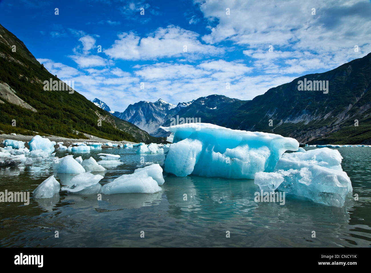Glacier bay national park hi-res stock photography and images - Alamy
