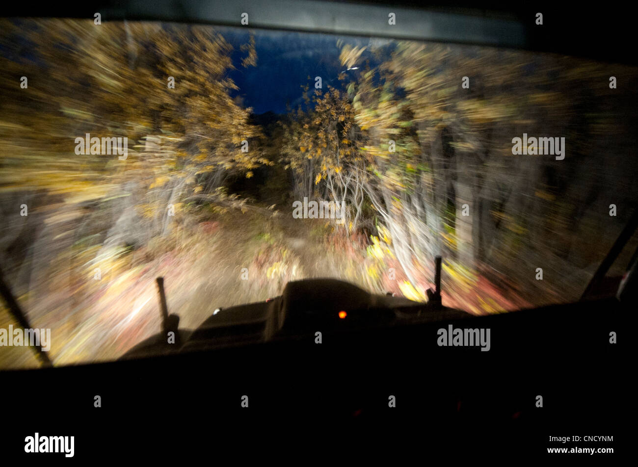 Night view from inside an Argo amphibious ATV driving on a tree-lined ...