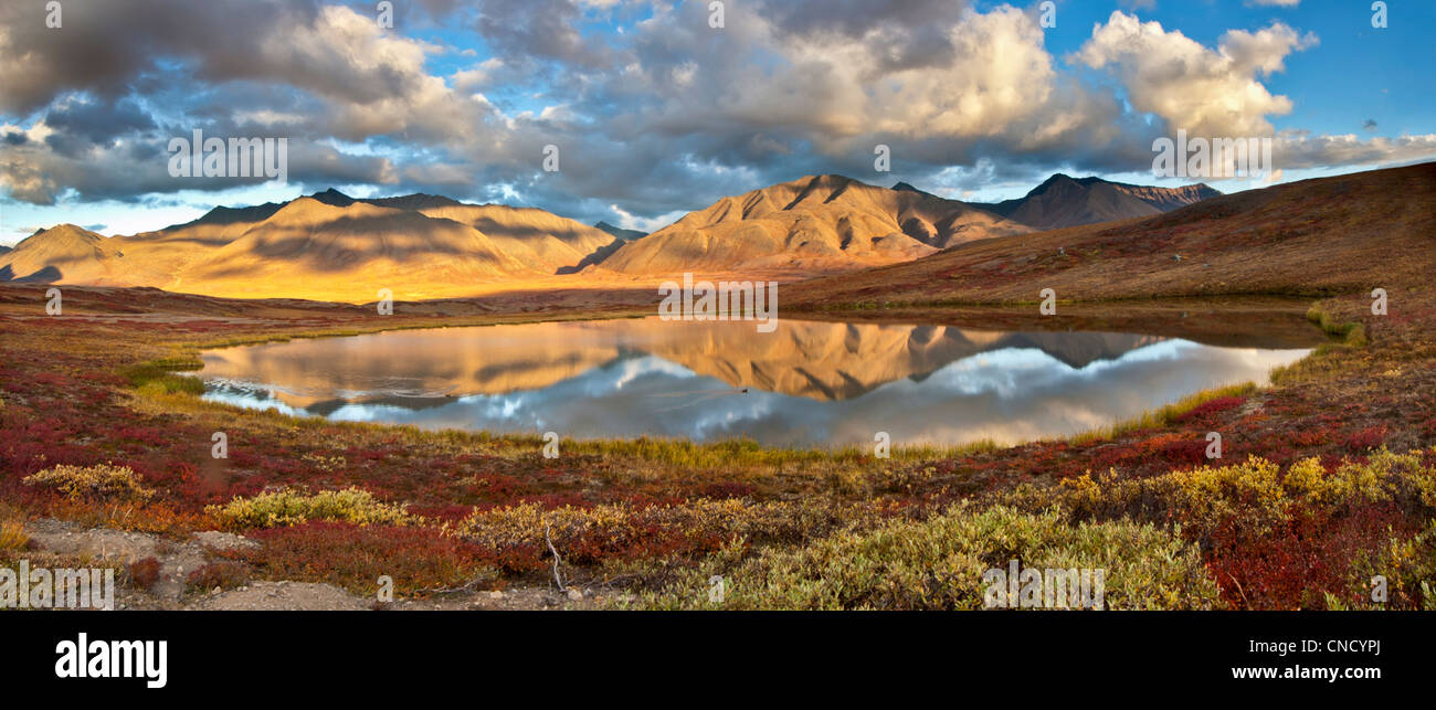 Scenic view of the Brooks range reflecting in a small pond in the John ...
